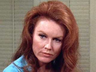 Elaine Devry Guide For The Married Man