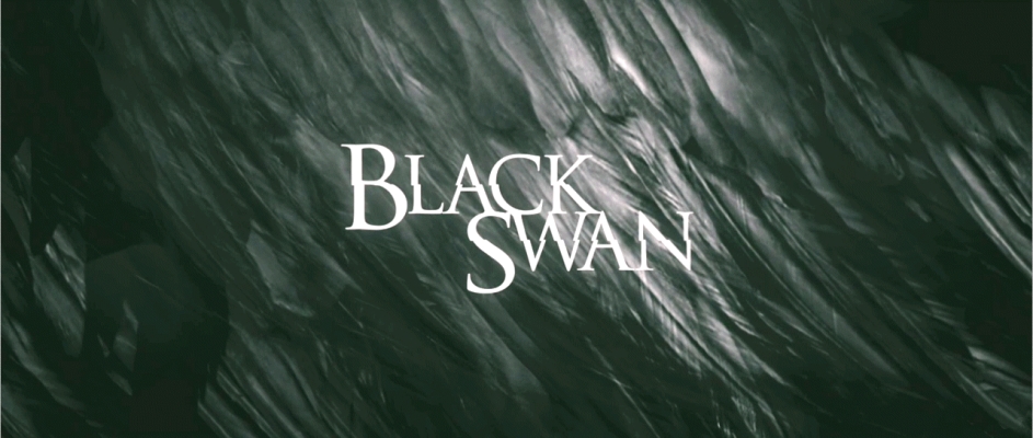 Mr Fithian Black Swan